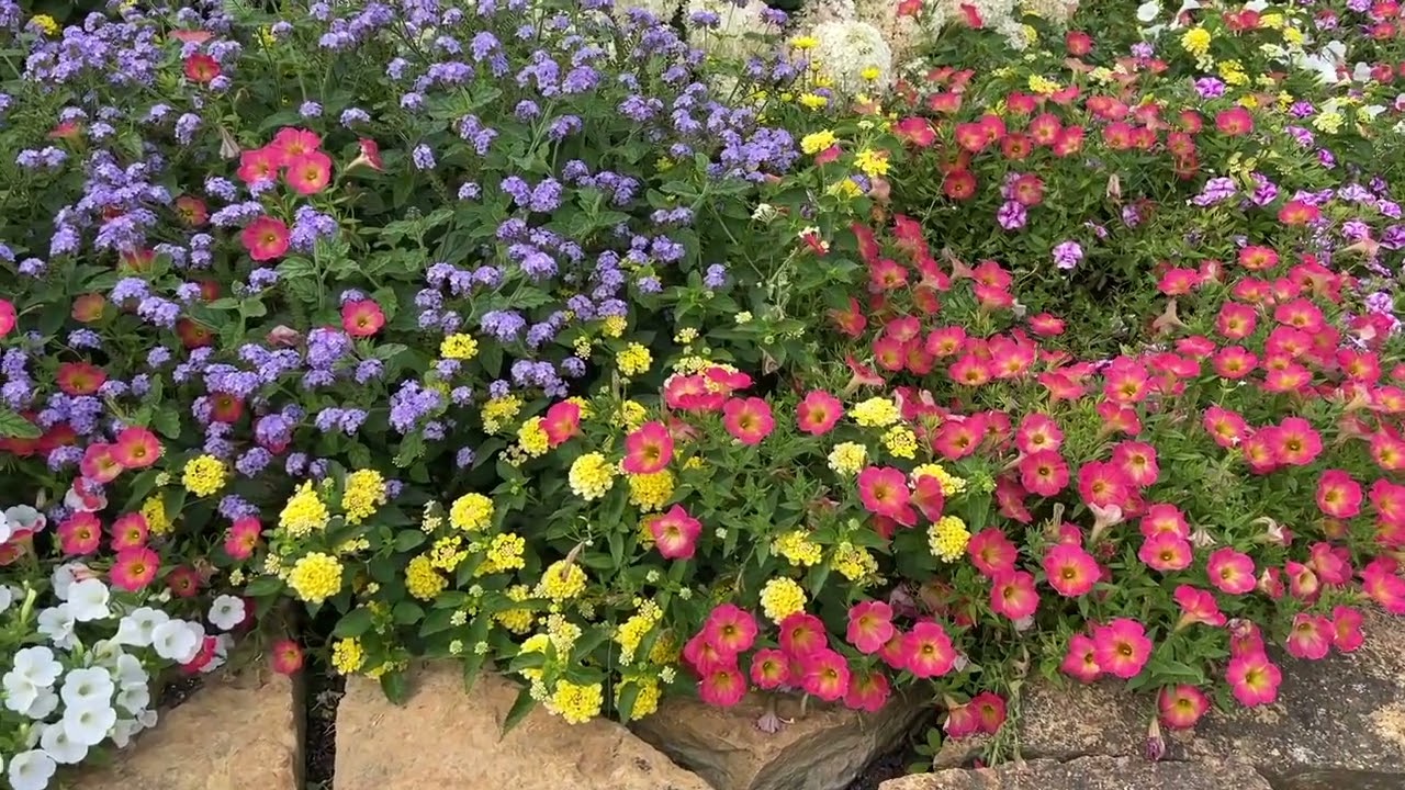 Creating a Patchwork of Color in Your Garden - YouTube