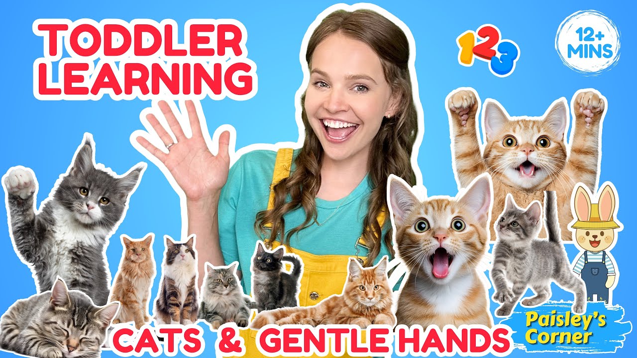 Learn About Cats for Kids 🐱 - Pet Care & Gentle Hands for Toddlers ...