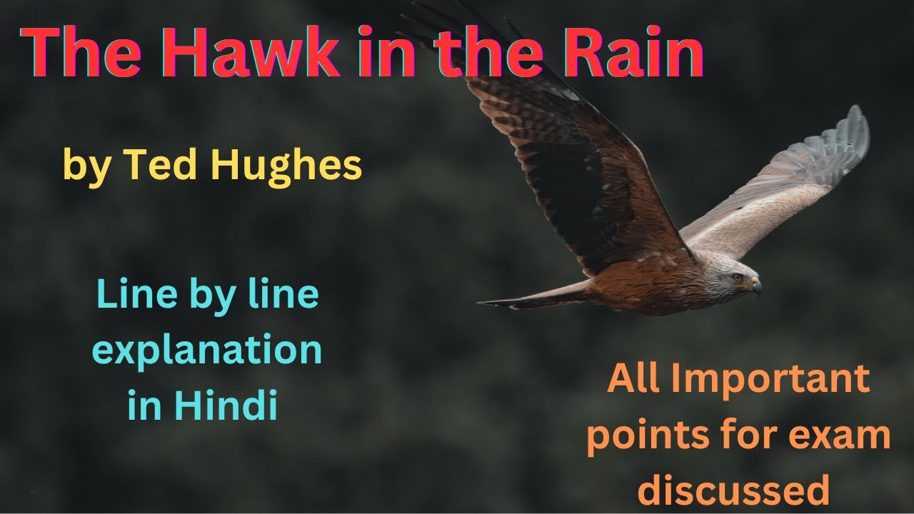 Ted Hughes The Hawk in the Rain explanation| Hindi analysis - YouTube