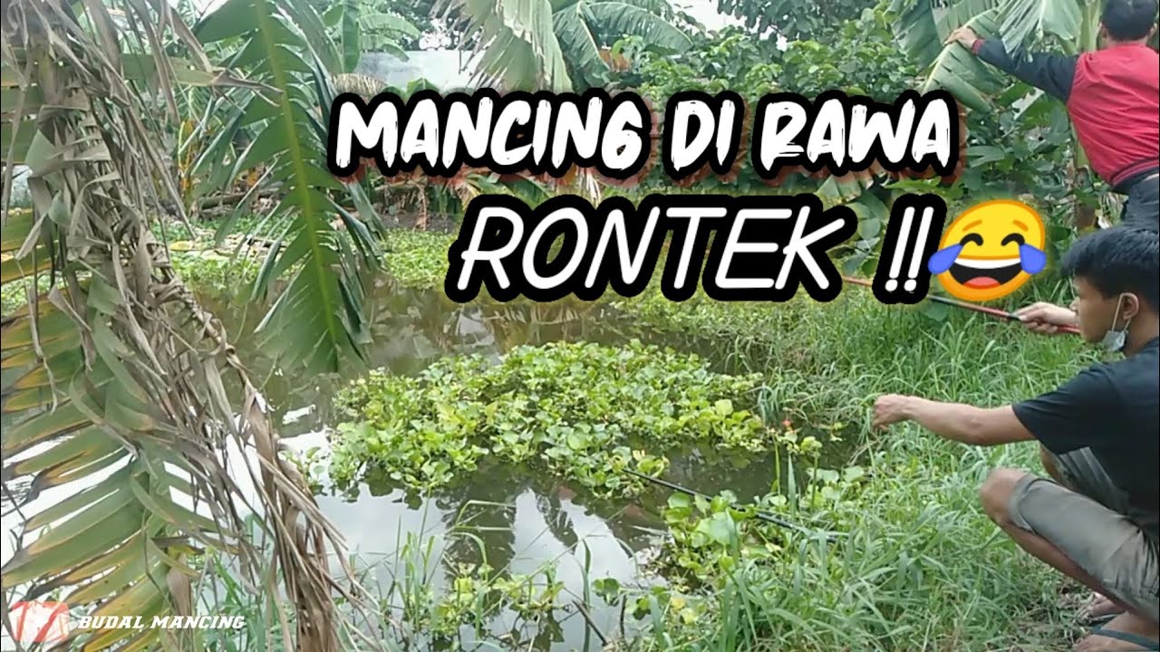 Mancing Di Rawa Rontek !! IKAN Lele..?? - YouTube