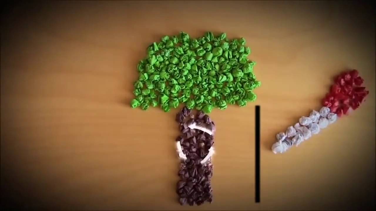 Saving the trees ... Save the earth - YouTube