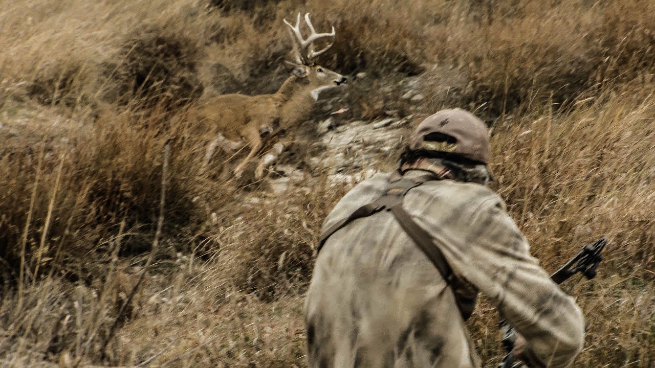 "Defiance" Round 1 Excerpt Video 4 | Whitetail Adrenaline - YouTube