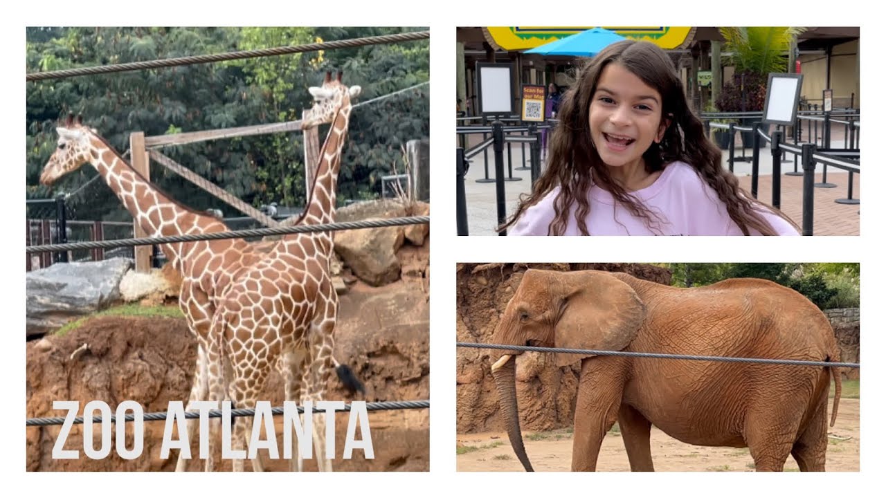 Zoo Atlanta Full Tour-Atlanta Georgia Vlog|Home To More Than 1,000 ...