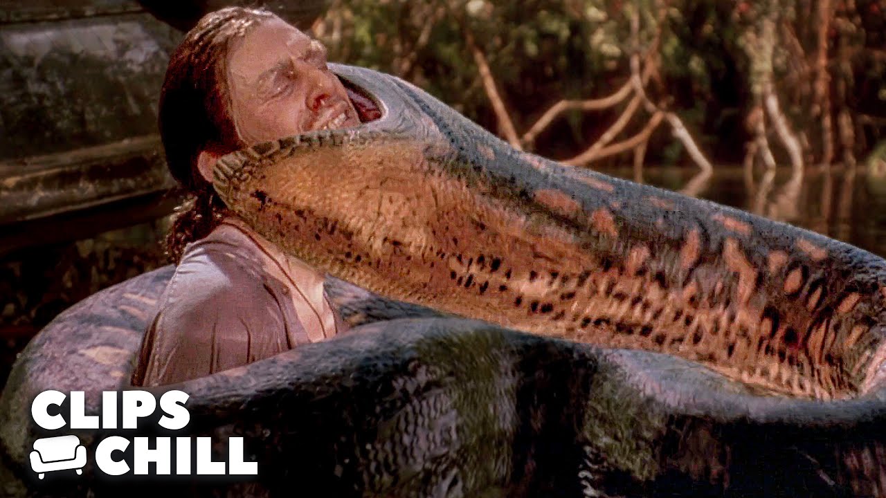 The Anaconda’s DEADLIEST Attacks | Anaconda Movies Best Kill Scenes ...