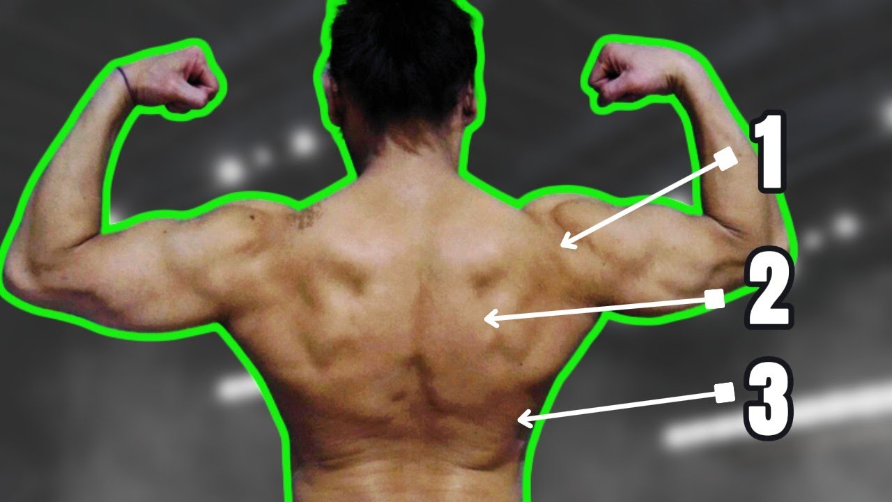 How to build demon BACK with ONLY 3 Exercises - YouTube