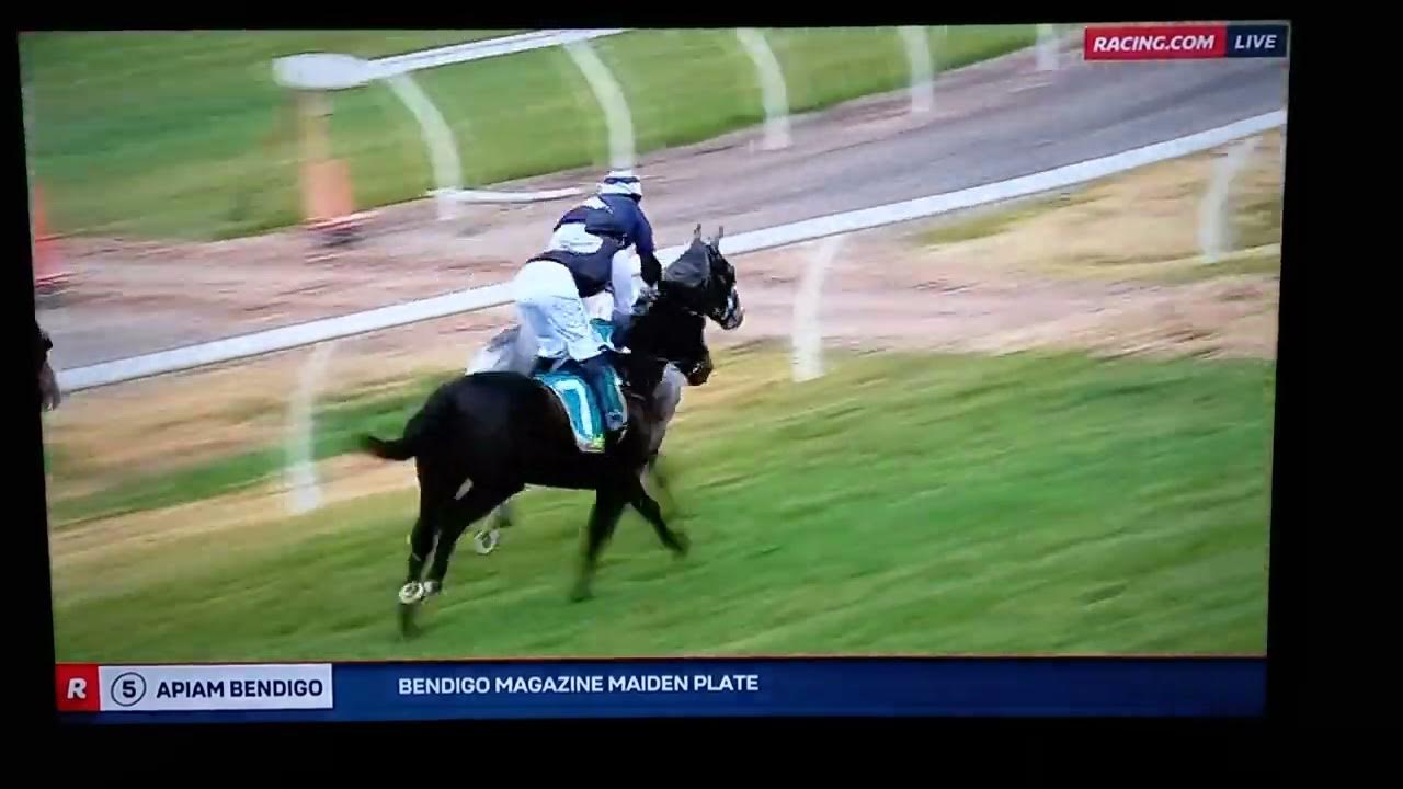 Bluestone-Bendigo Maiden 2200m-11/7/24 - YouTube