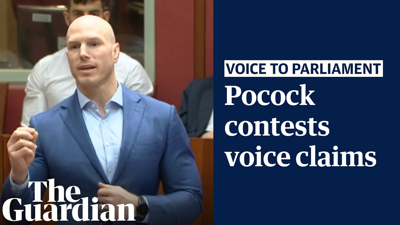 David Pocock says voice to parliament claims ‘bordering on ...