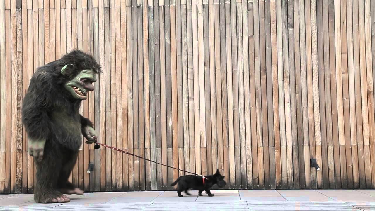 Cold Monster® Chronicles: Dog Walker (A Zicam® Production) - YouTube