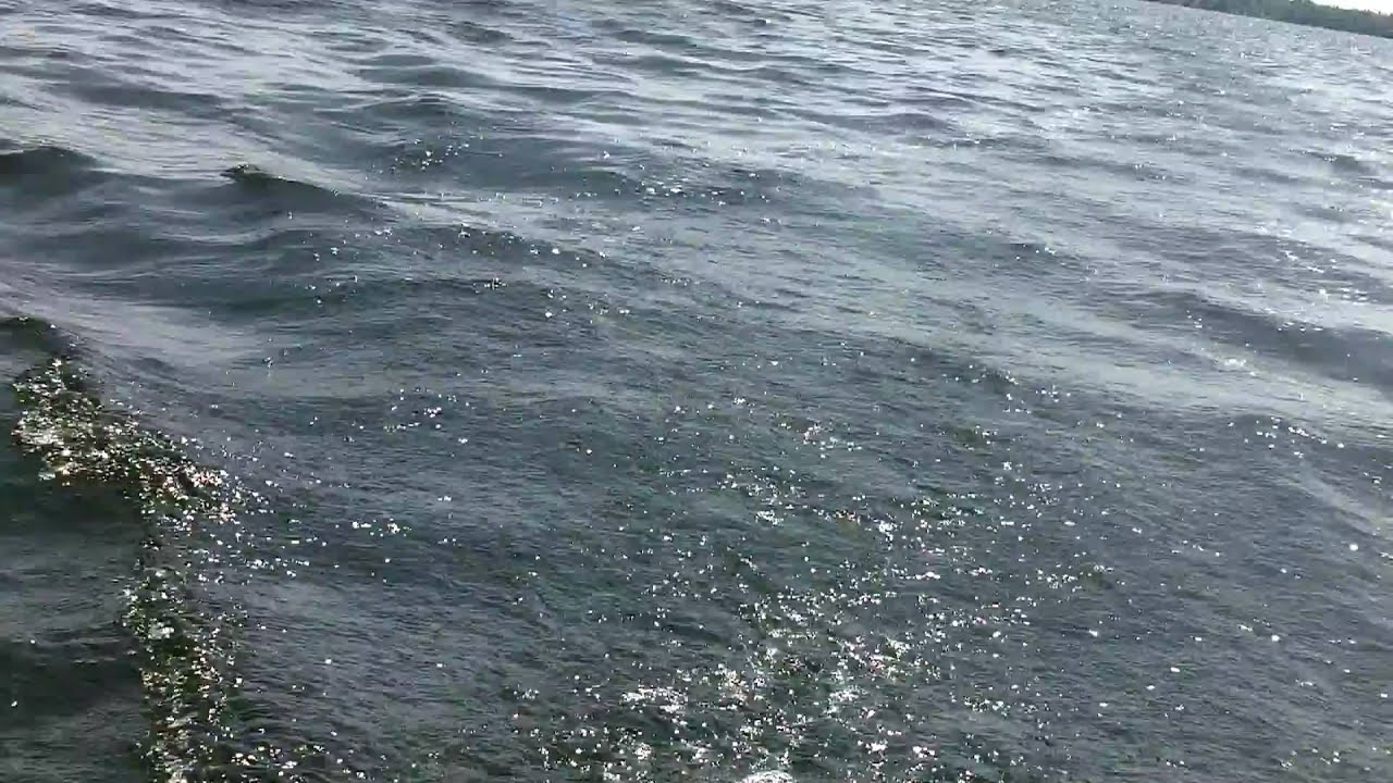 Banshee Sailing Dinghy 2010 - YouTube