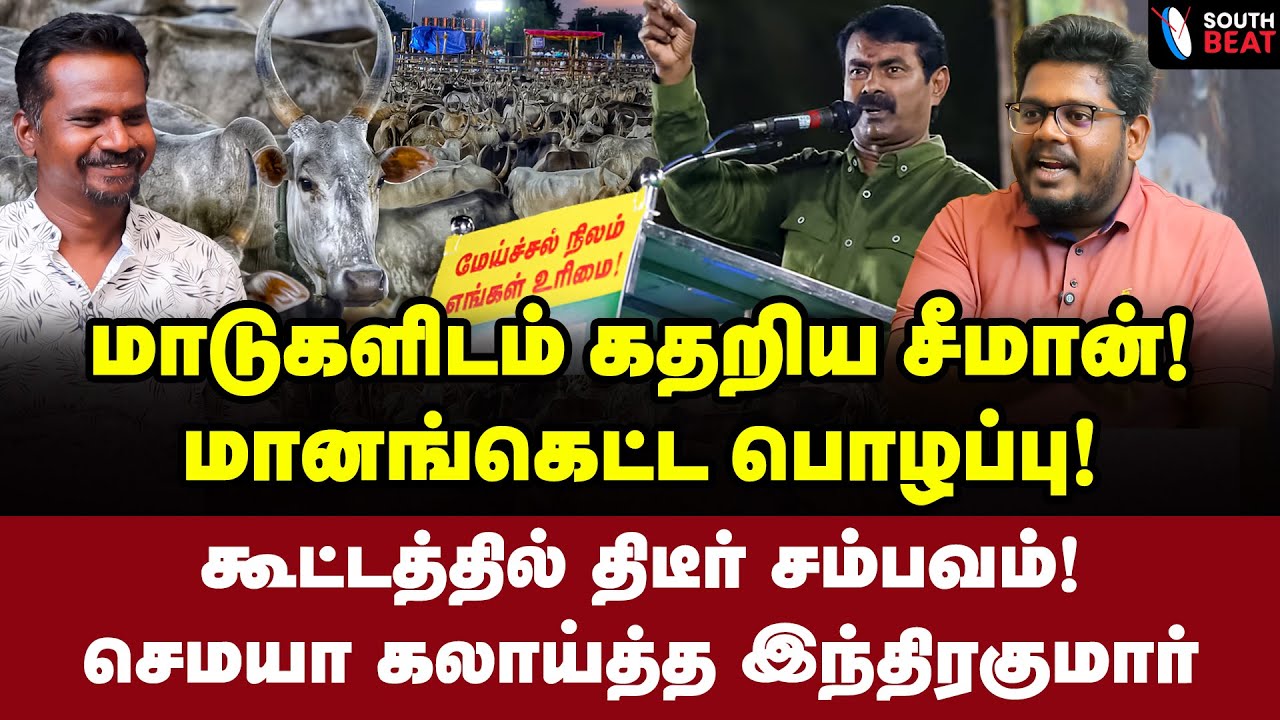 மாட்டிக்கொண்ட மாடுகள்! இந்திரகுமார் மரண கலாய்! | Indra Kumar | Cow and Goat conference Seeman ...