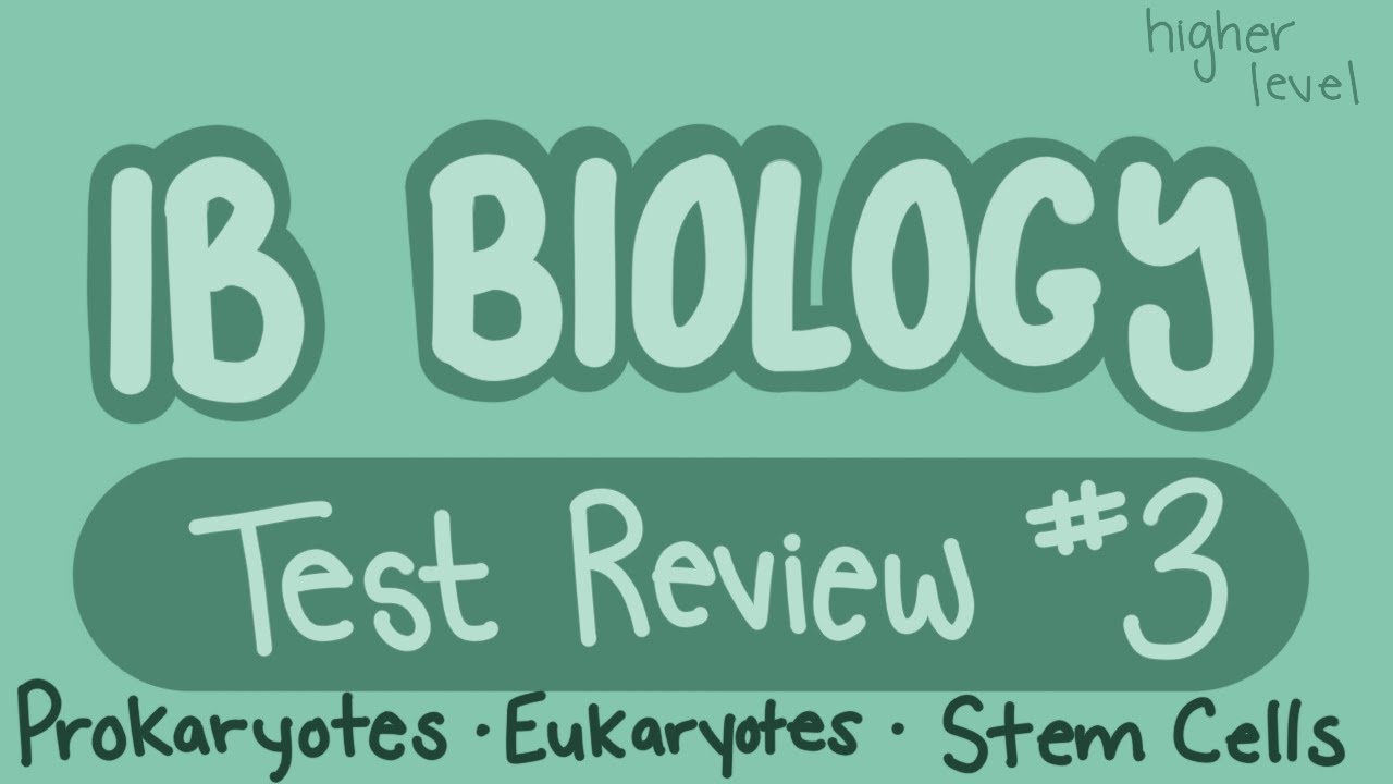 IB Biology 12 Review for Test 3 [Prokaryotes, Eukaryotes, Stem Cells ...