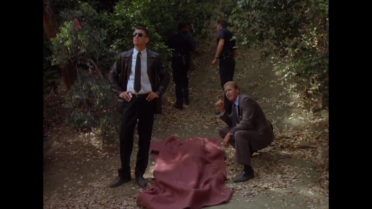 Just the Trees, Johnny | Seinfeld | Bits of Pop Culture - YouTube