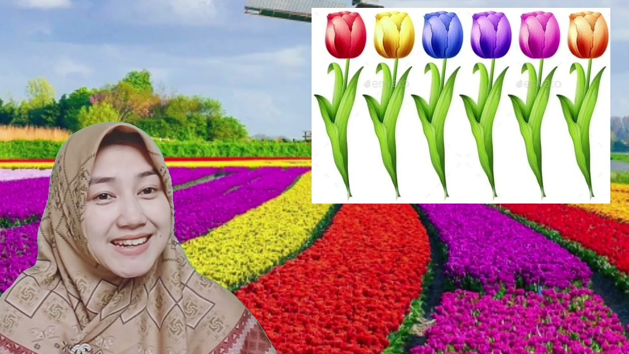 Video Sumber Belajar TemaTanaman/ Sub Tema tanaman Hias sub-sub tema ...