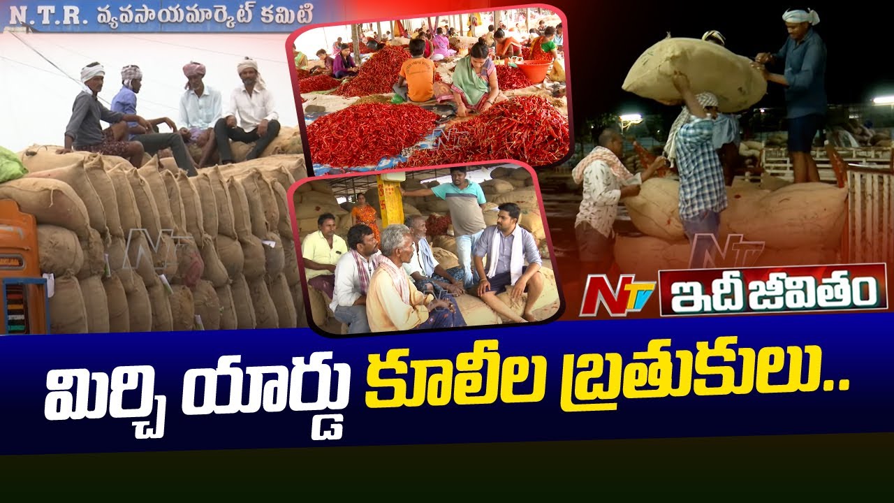 Miserable Lives Of Mirchi Hamali Workers | Idhi Jeevitham | Ntv - YouTube
