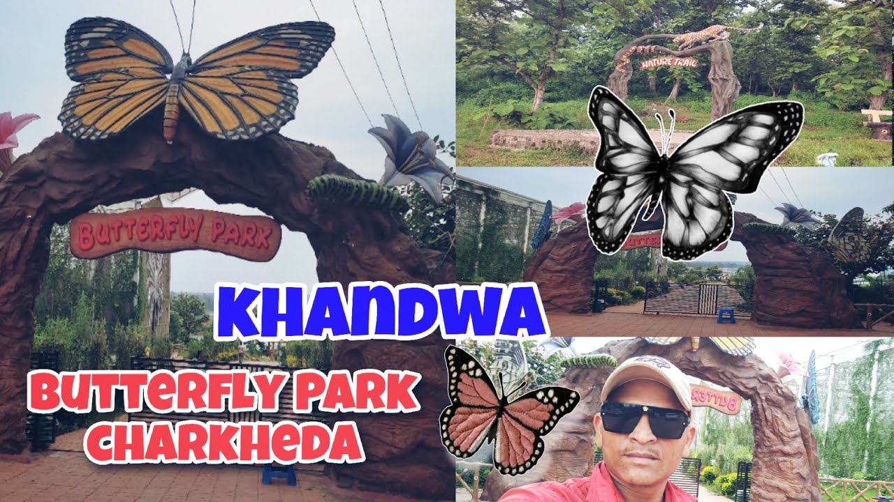 TITLI PARK CHARKHEDA/Butterfly Park/ तितली पार्क चरखेड़ा MP FIRST# ...