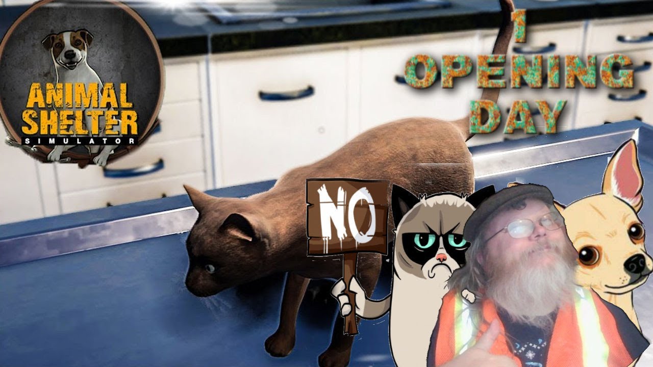 Animal Shelter: The Animal Dosshouse, pt 1 - YouTube