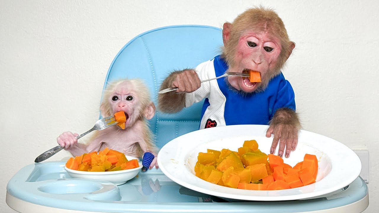 So Lovely! Bibi and the baby monkey's simple meal but full of love ...