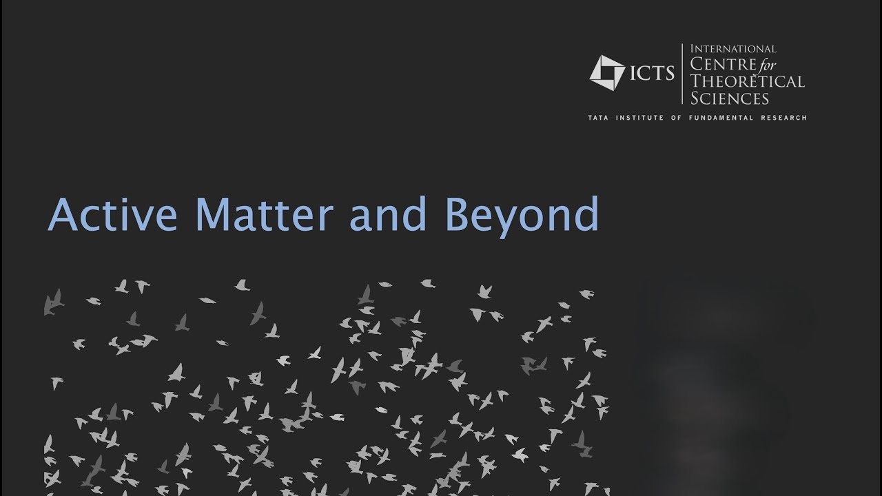 Extreme Spontaneous Deformations of Active Crystals by Hugues Chaté ...