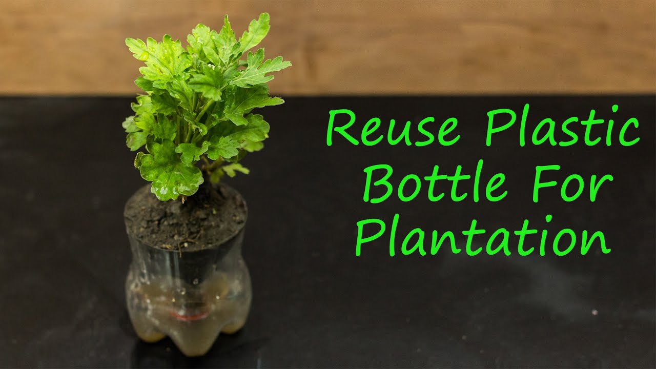 Reuse plastic bottle for plantation - YouTube