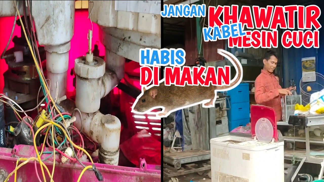 TUTORIAL CARA MENYAMBUNG KABEL MESIN CUCI YANG DIGIGIT TIKUS‼️ - YouTube