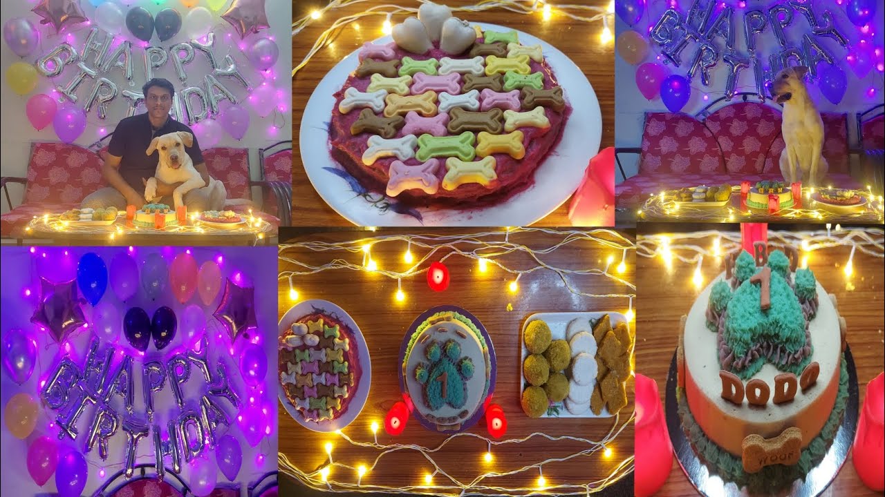 DODO'S First Birthday | Homemade Cake Recipe For Your Furry Friend ...