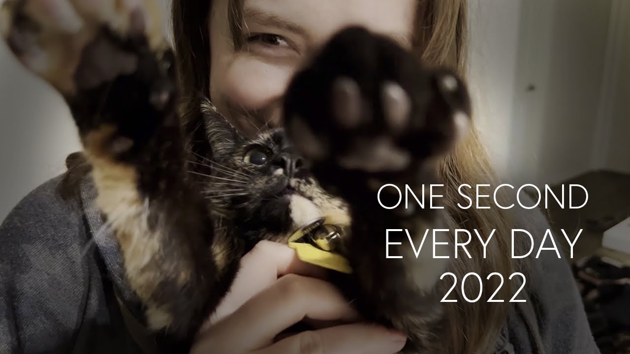 One Second Every Day 2022 - YouTube