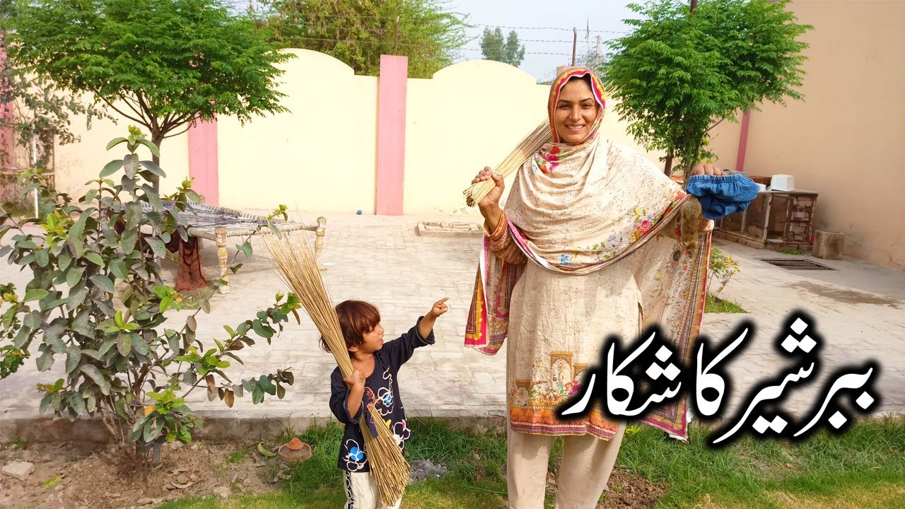 Babar Sheer Ka Shikar By Happy Joint Family I Village Life Of Punjab ...