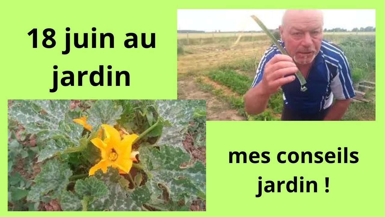 18 juin au jardin quoi semer quoi planter des conseils de jardin - YouTube
