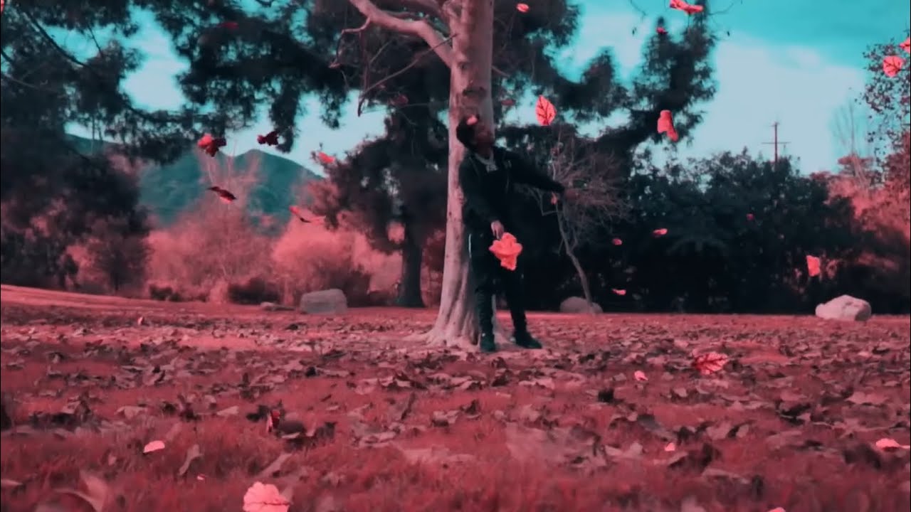 Yhung T.O - Diamonds (Official Music Video) - YouTube