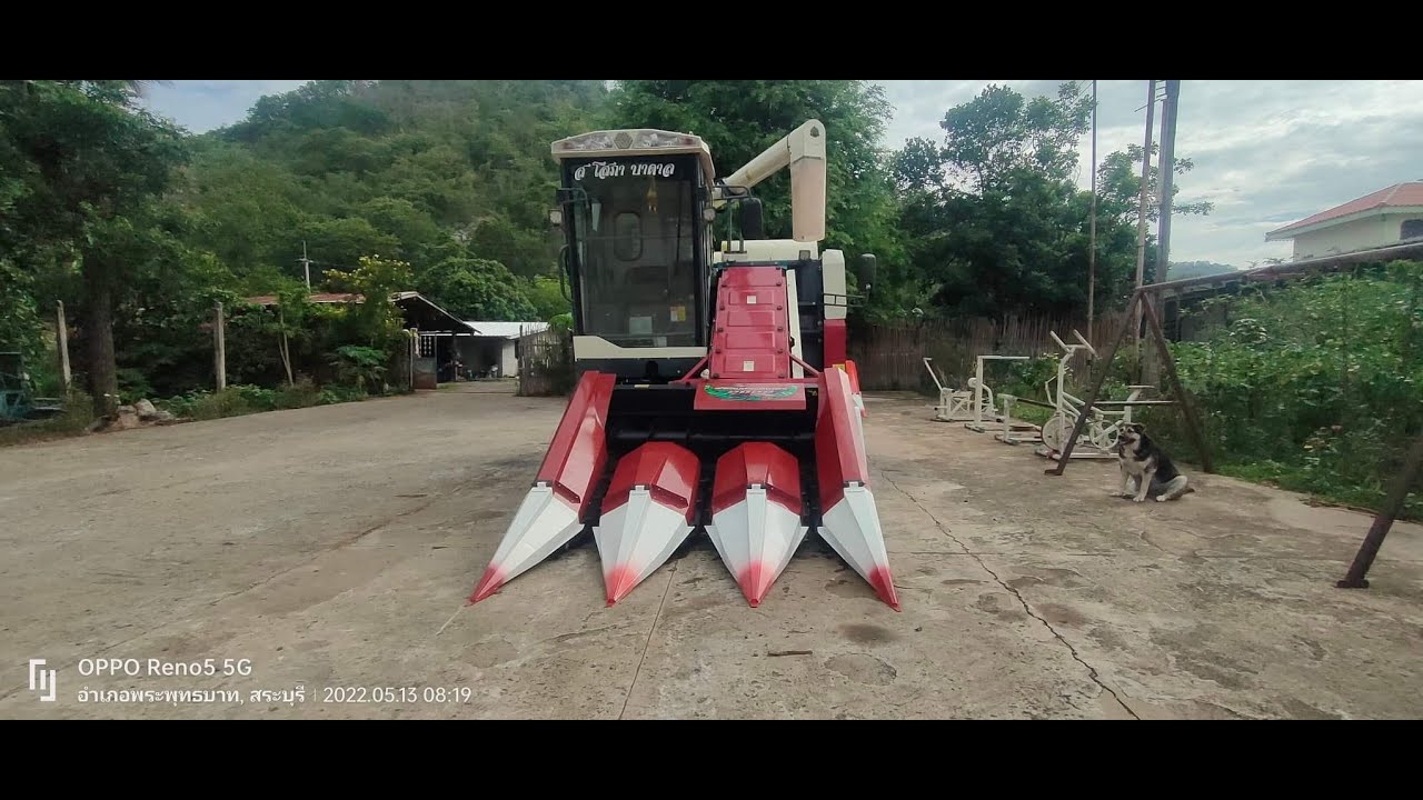 การเกี่ยวข้าวโพดกับหัวเกี่ยวข้าวโพด FM World 115 แรง ตุ้แอร์ - YouTube