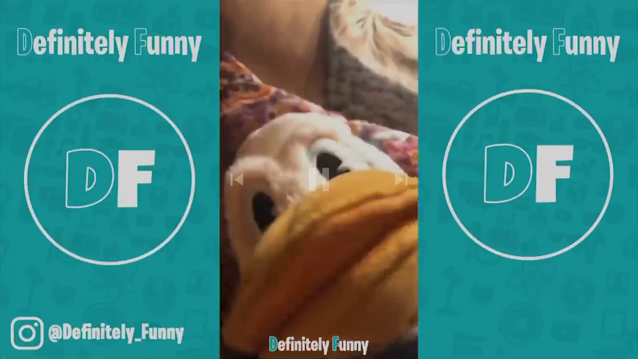 Message to UTTP users - YouTube