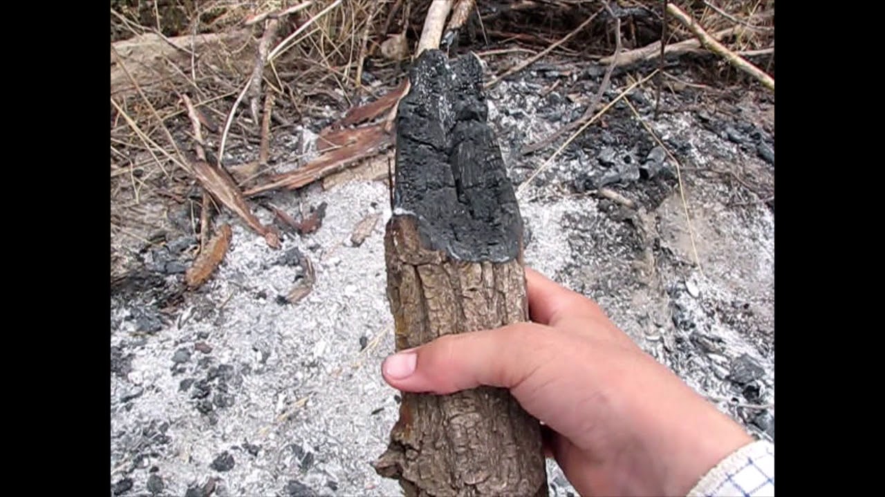 Selecting Correct Sized Charred Posts for Predator Trapping. - YouTube