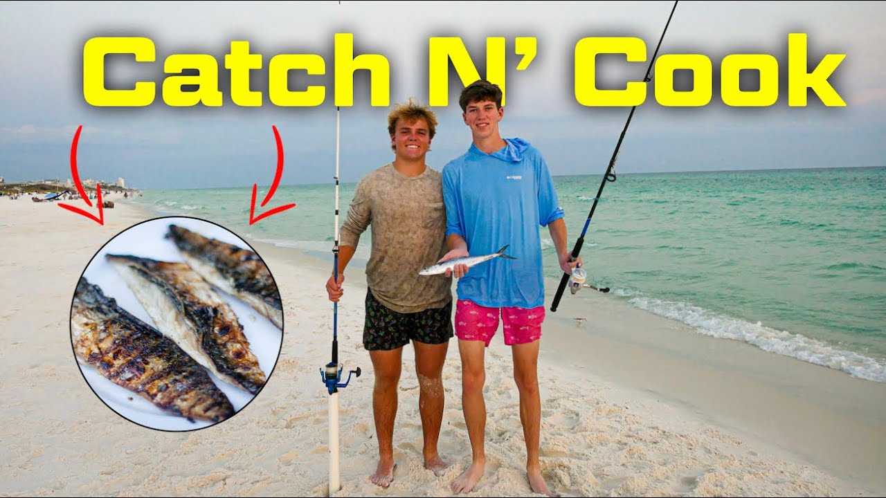 Surf Fishing CATCH N' COOK!! - YouTube