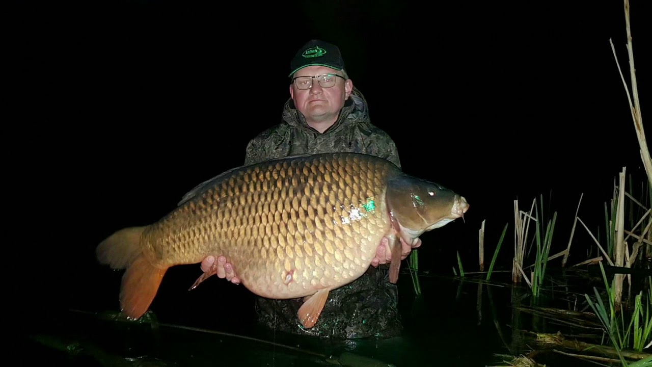 Biggest common carp catch by Polish Carp Angler in United Kingdom - YouTube