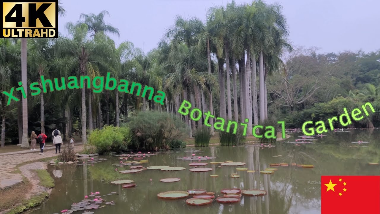 Xishuangbanna Botanical Garden - YouTube