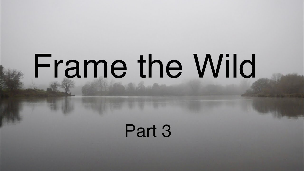 Kodak PIXPRO AZ528 Review in Real World | Frame the Wild