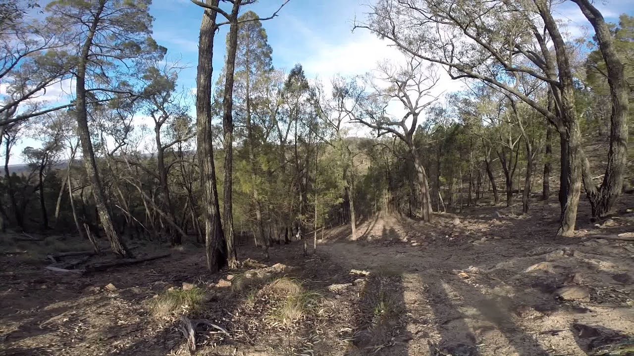 Goanna Tracks - YouTube