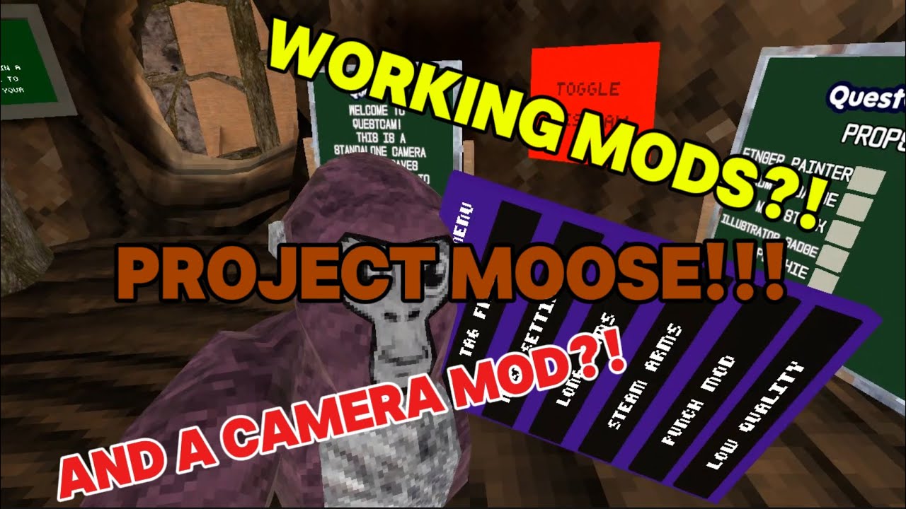 Tutorial on How To Get Project Moose! And the Camera Mod, QuestCam ...