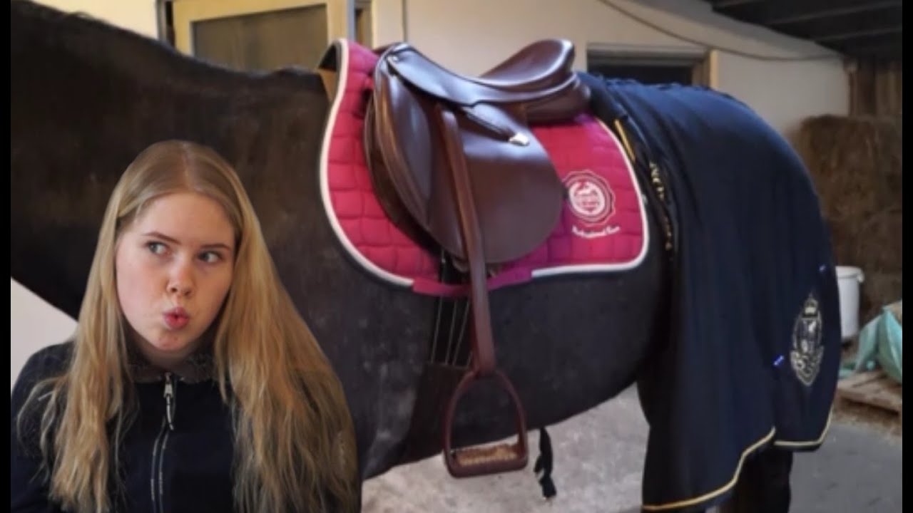 Januar favoritter "try-on" | Camillas hesteverden - YouTube