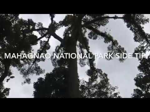 Mahagnao Volcano National Park Side Trip - YouTube
