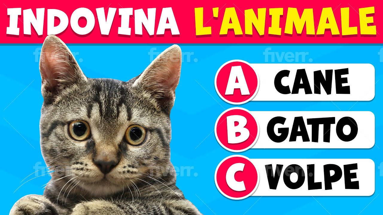 Indovina l'Animale! | Quiz Animali: Testa la tua conoscenza con sfide ...