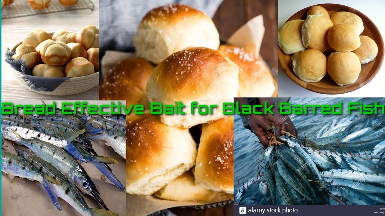 Bread effective bait for garfish(hand line fishing)jeco's channel - YouTube