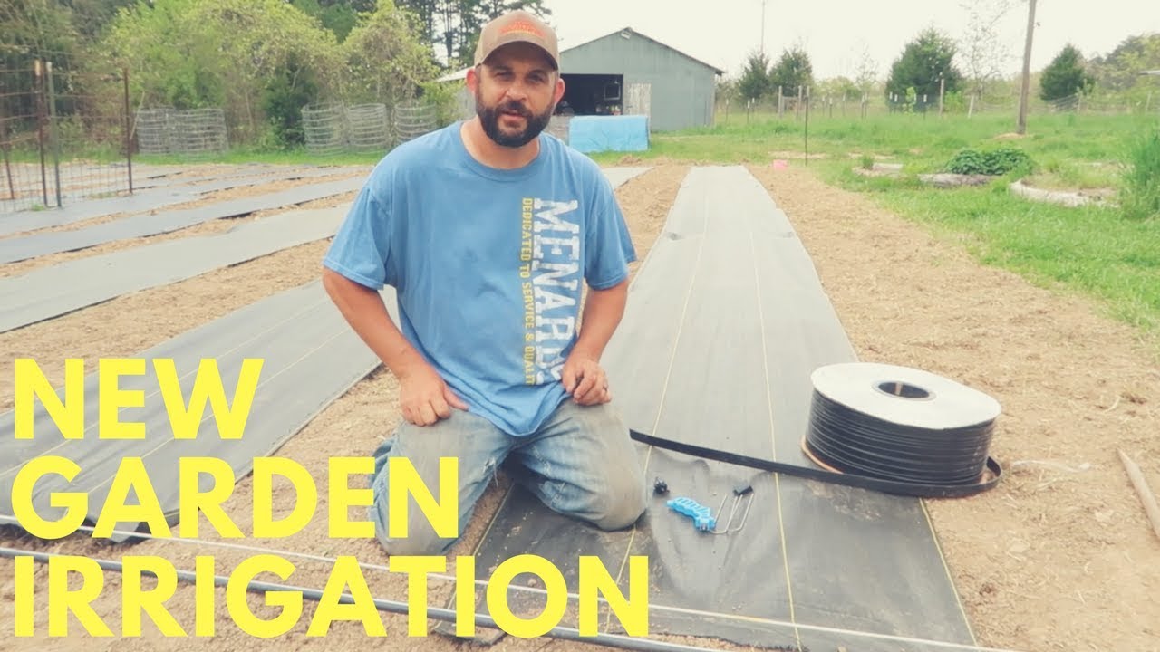 Installing Garden Drip Tape Irrigation System: Preparing for Summer ...