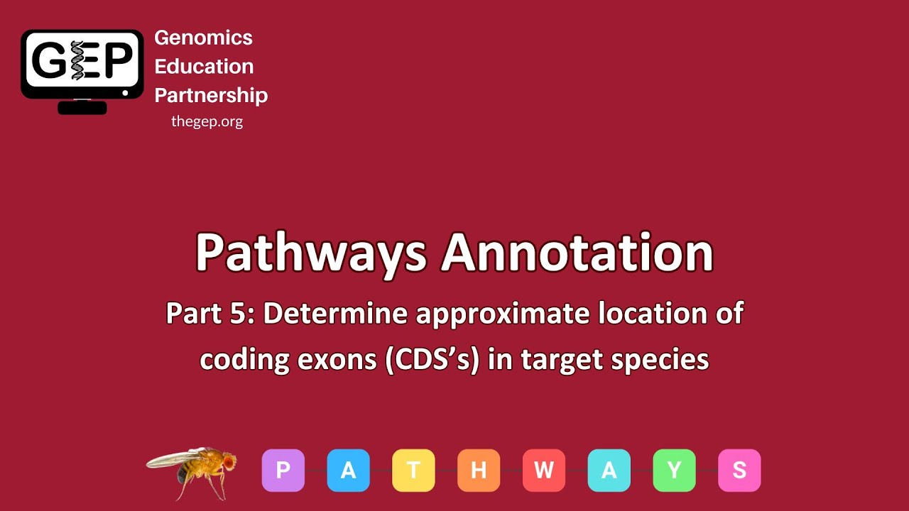 GEP | Pathways Gene Annotation Part 5 - Determine approximate location of CDSs in target species ...