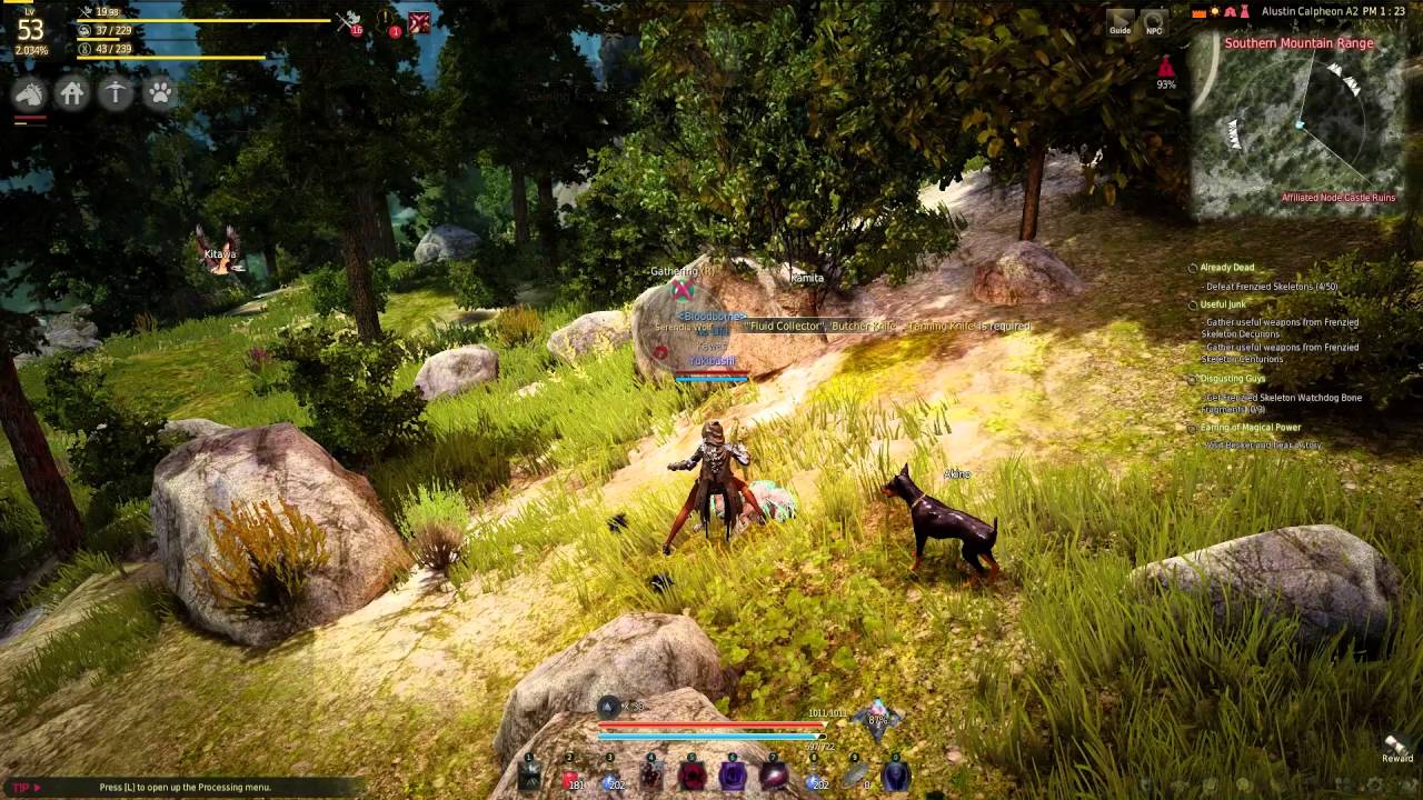 Black Desert - Serendia Wolf - YouTube