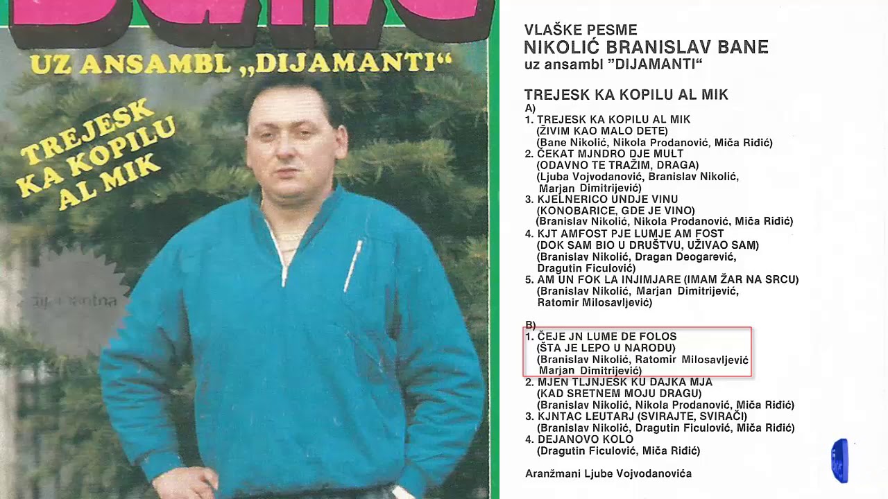 Branislav Nikolic Bane - Ceje jn lume de folos - (Audio 1988) - YouTube