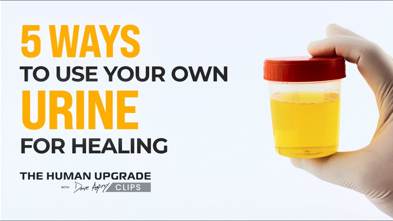 5 Ways to Use Urine Therapy For Health | Darlene Teahen x Dave Asprey ...