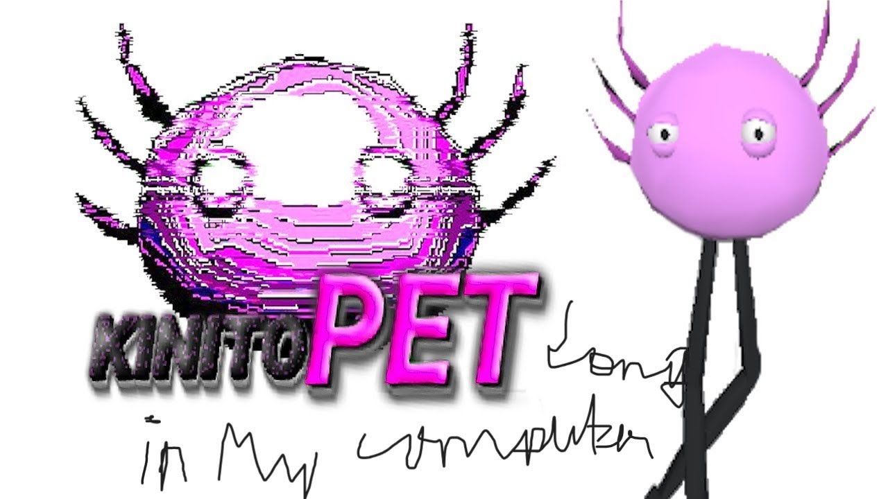 Kinto pet song in my computer - YouTube
