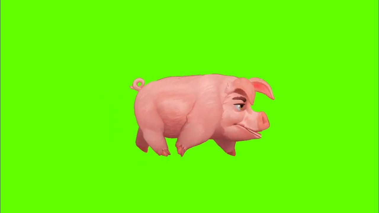 Pig 🐖 cute green screen video cute pig Dance green screen video # ...