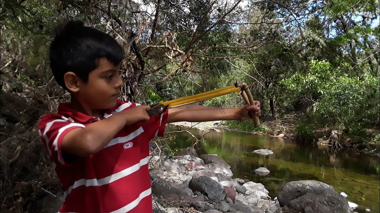 caza de palomas con resortera tradicional. - YouTube